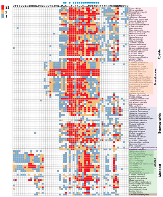 Ancient Duplication and Lineage-Specific Transposition Determine ...