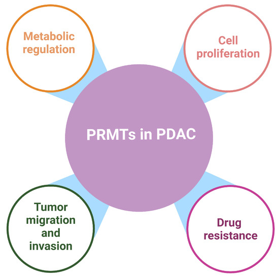 IJMS | Free Full-Text | Protein Arginine Methyltransferases in ...