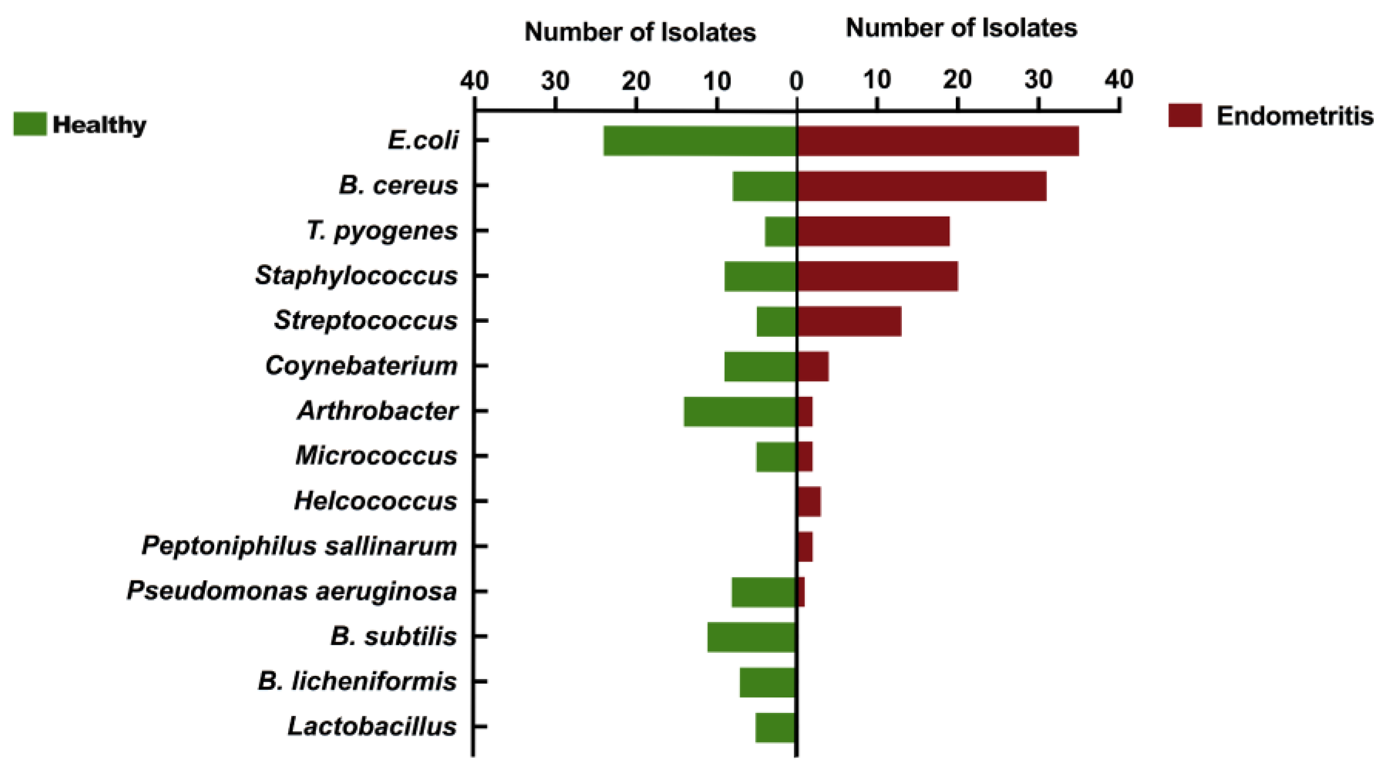 Phenotypic Characteristics, Antimicrobial Susceptibility and Virulence ...