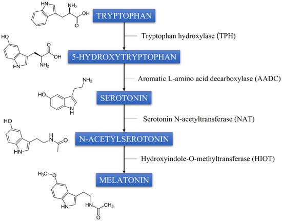 IJMS | Free Full-Text | A Clinical, Pharmacological, and Formulation ...