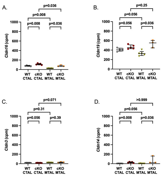 Claudin-10 Expression and the Gene Expression Pattern of Thick ...