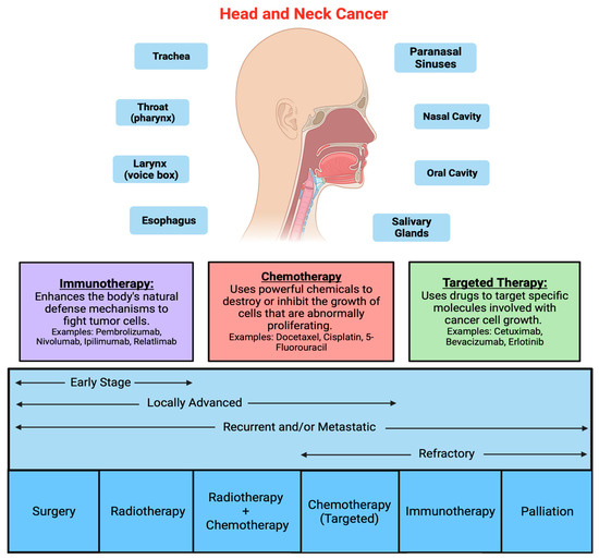 IJMS | Free Full-Text | Therapeutic Advances and Challenges for the Management of HPV-Associated ...