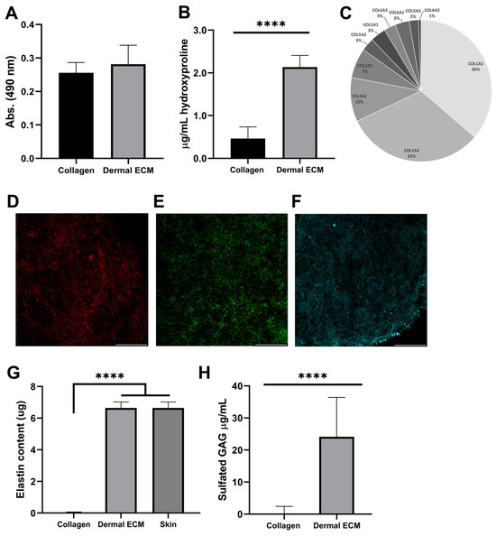 Human Dermal Decellularized ECM Hydrogels as Scaffolds for 3D In Vitro ...
