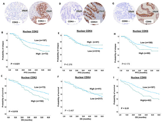 The Clinicopathological Significance of the Cyclin D1/E1–Cyclin ...