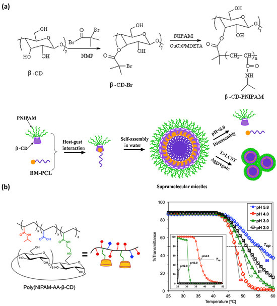 Responsive Supramolecular Polymers for Diagnosis and Treatment