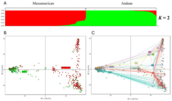 A Past Genetic Bottleneck from Argentine Beans and a Selective Sweep ...