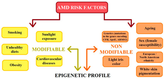 The Role of Glutathione in Age-Related Macular Degeneration (AMD)