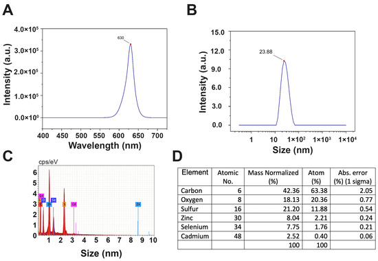 CdSe/ZnS Quantum Dots’ Impact on In Vitro Actin Dynamics