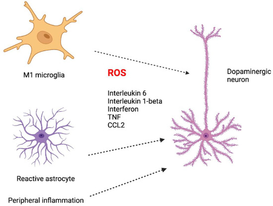 DNA Damage and Parkinson’s Disease