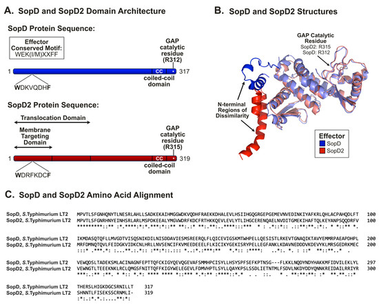 Functional Divergence of the Paralog Salmonella Effector Proteins SopD ...