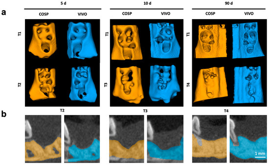 A Biodegradable Tissue Adhesive for Post-Extraction Alveolar Bone ...
