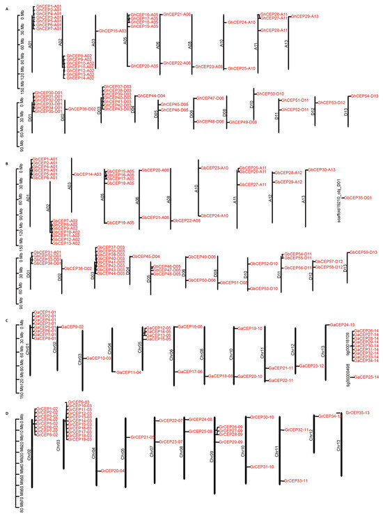 A Genome-Wide Analysis of the CEP Gene Family in Cotton and a ...