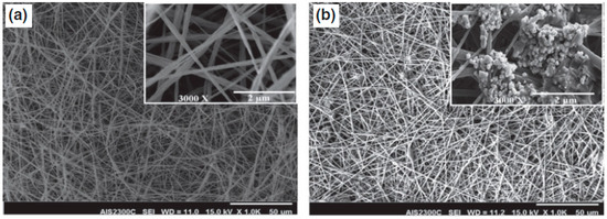 Polyethersulfone Polymer for Biomedical Applications and Biotechnology