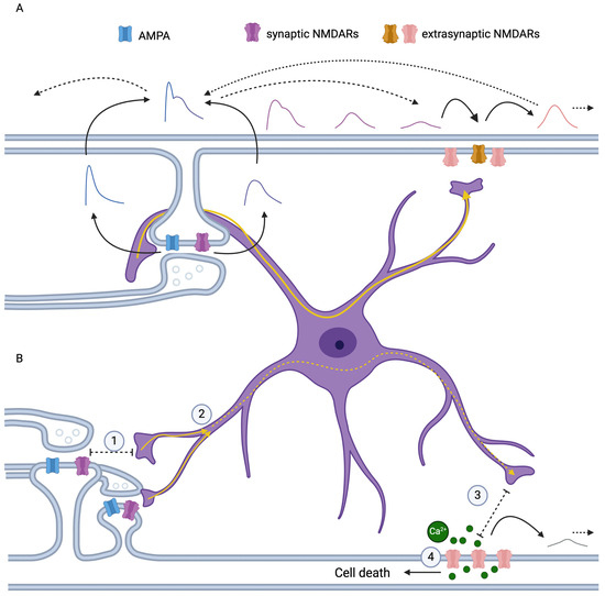 Computational Modeling of Extrasynaptic NMDA Receptors: Insights into ...