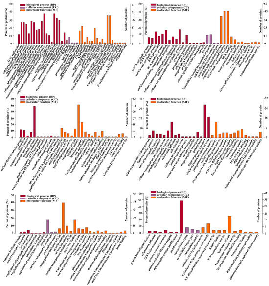 IJMS | Free Full-Text | TMT-Based Quantitative Proteomic Analysis Reveals the Key Role of Cell ...