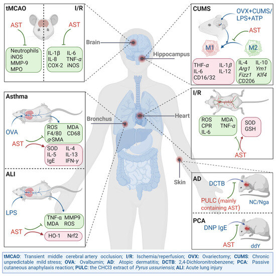 Research Progress on Anti-Inflammatory Effects and Related Mechanisms ...