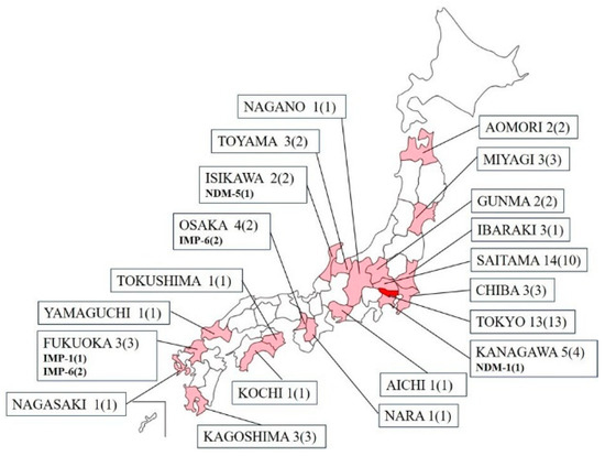 Molecular Epidemiology of Carbapenem-Resistant Klebsiella aerogenes in ...