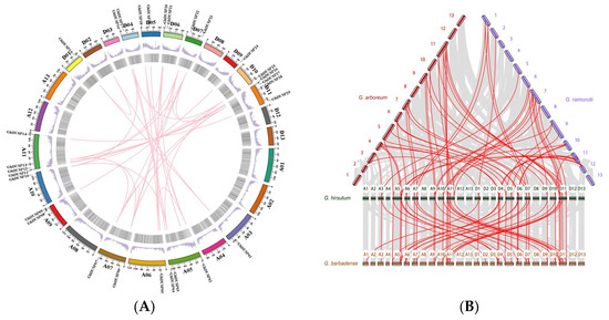IJMS | Free Full-Text | Revealing the Complete Bispecific Phosphatase ...