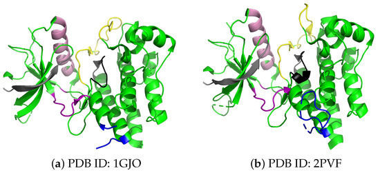 Elucidating the Role of Wildtype and Variant FGFR2 Structural Dynamics ...