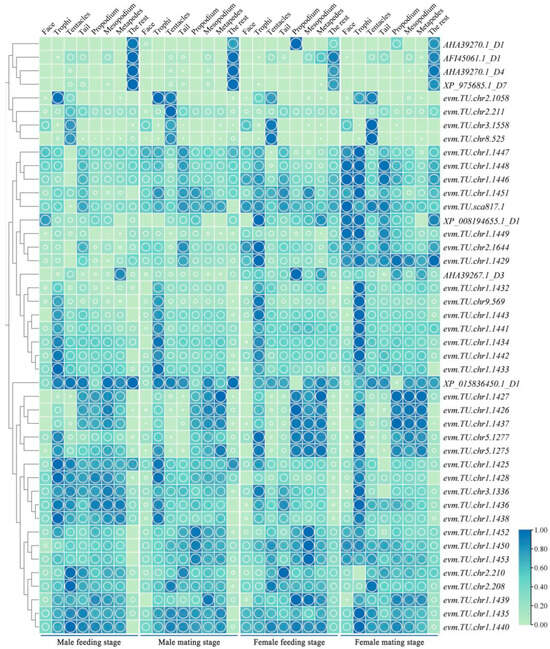 The Neurotranscriptome of Monochamus alternatus