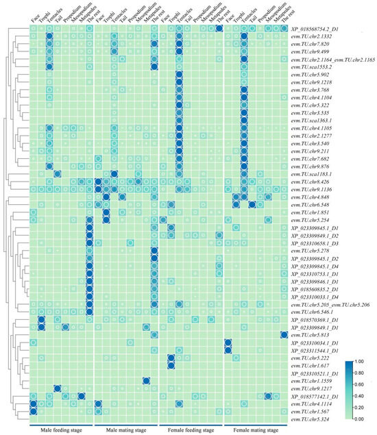 The Neurotranscriptome of Monochamus alternatus