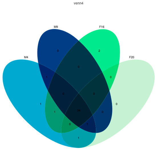 The Neurotranscriptome of Monochamus alternatus