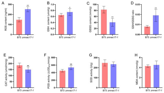 ZmNAC17 Regulates Mesocotyl Elongation by Mediating Auxin and ROS ...