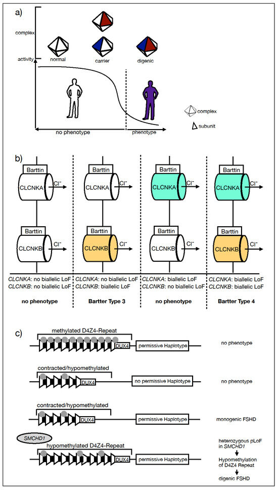 IJMS | Free Full-Text | Digenic Inheritance in Rare Disorders and ...