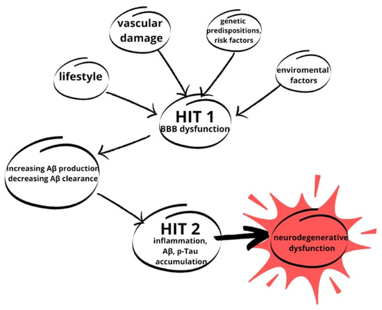 Chronic Traumatic Encephalopathy as the Course of Alzheimer’s Disease