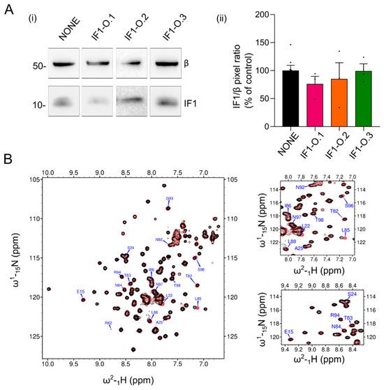 IJMS | Free Full-Text | Peptides Targeting the IF1–ATP Synthase Complex ...