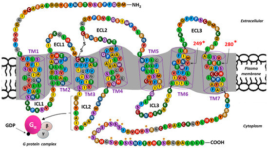 CX3CL1 (Fractalkine)-CX3CR1 Axis in Inflammation-Induced Angiogenesis and Tumorigenesis