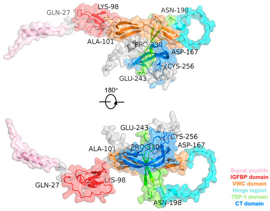Connective Tissue Growth Factor: Regulation, Diseases, and Drug Discovery