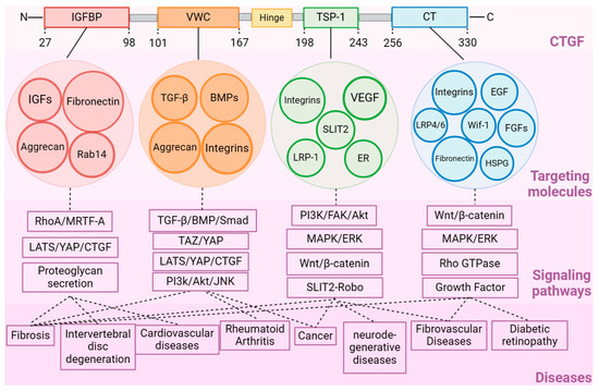 Connective Tissue Growth Factor: Regulation, Diseases, and Drug Discovery