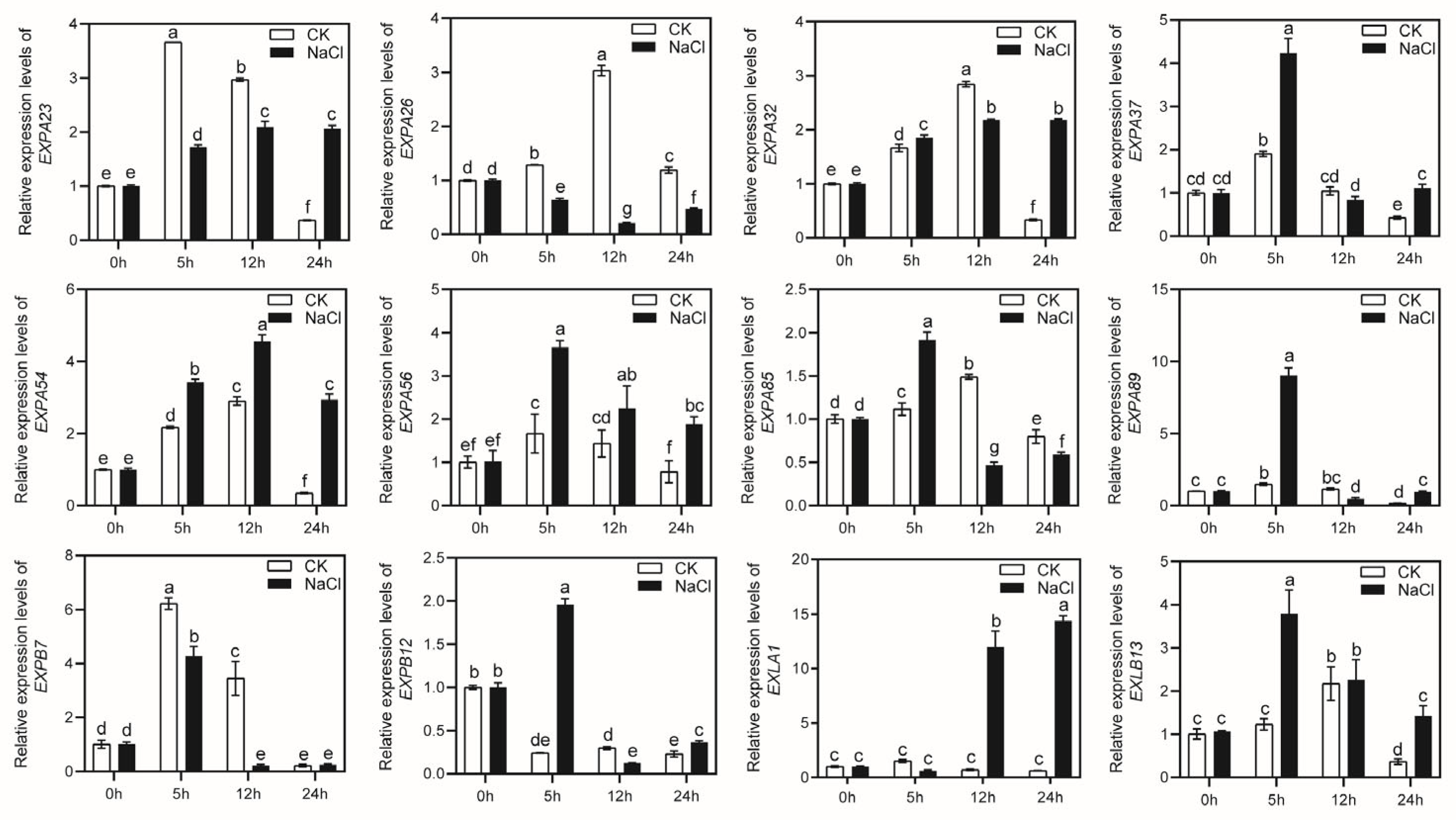 Genome-Wide Identification, Phylogenetic and Expression Analysis of ...