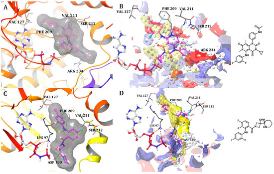Gaining Insights into Key Structural Hotspots within the Allosteric ...