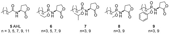 Synthesis of Mixed Phosphonate Esters and Amino Acid-Based ...
