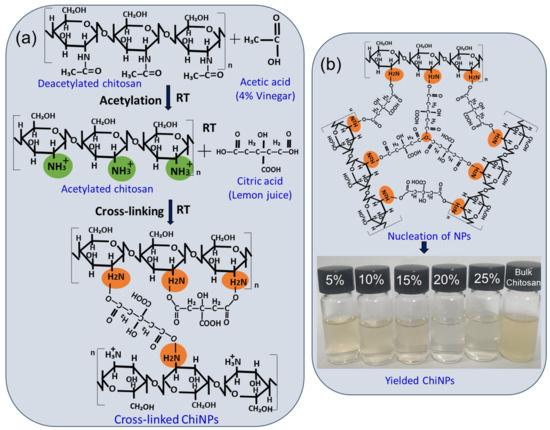 Green Synthesized Chitosan Nanoparticles for Controlling Multidrug ...