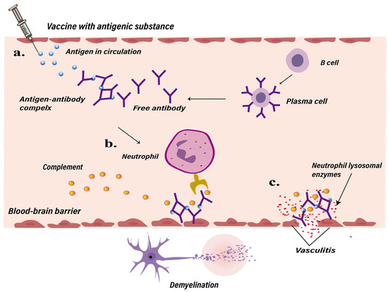 Vaccines and the Eye: Current Understanding of the Molecular and ...