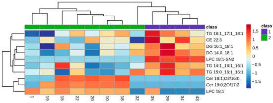 Meibum Lipidomic Analysis in Evaporative Dry Eye Subjects