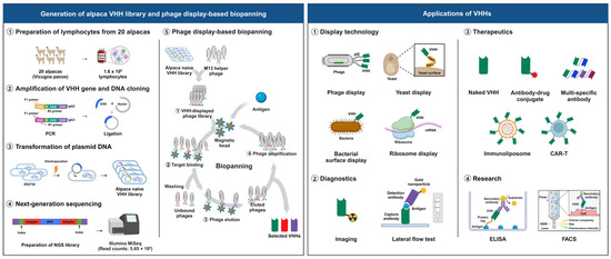 Development, High-Throughput Profiling, and Biopanning of a Large Phage Display Single-Domain ...