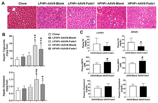 Hepatocyte-Specific Fads1 Overexpression Attenuates Western Diet ...