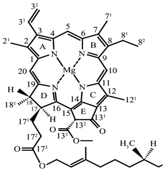 Is the A-1 Pigment in Photosystem I Part of P700? A (P700+–P700) FTIR ...