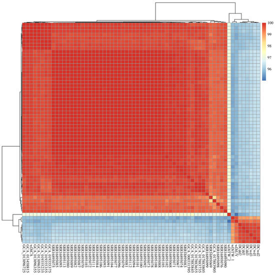 Pan-Genome Analysis of Wolbachia, Endosymbiont of Diaphorina citri ...