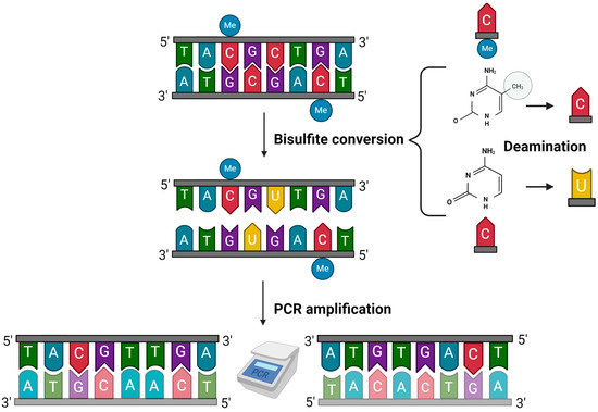 Uncovering Forensic Evidence: A Path to Age Estimation through DNA ...