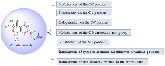 Advancements in Synthetic Strategies and Biological Effects of Ciprofloxacin Derivatives: A Review