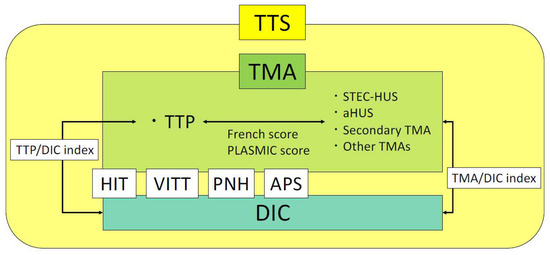 How We Interpret Thrombosis with Thrombocytopenia Syndrome?