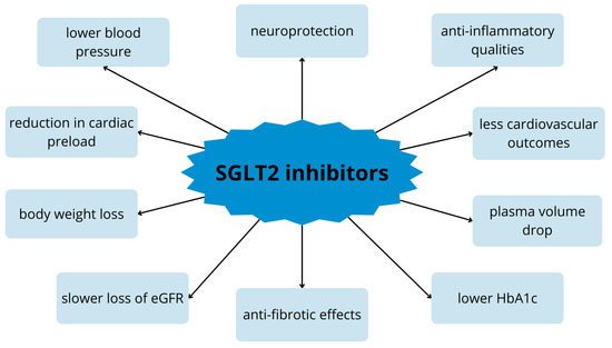 SGLT2 Inhibitors in Kidney Diseases—A Narrative Review