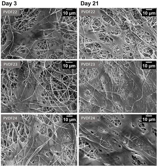Enhanced Electroactive Phases of Poly(vinylidene Fluoride) Fibers for ...