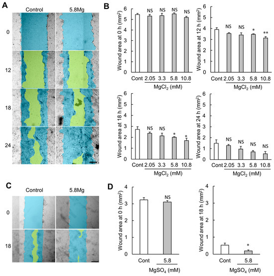 Unraveling the Mechanisms Involved in the Beneficial Effects of ...