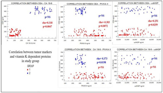 Correlation Matrix